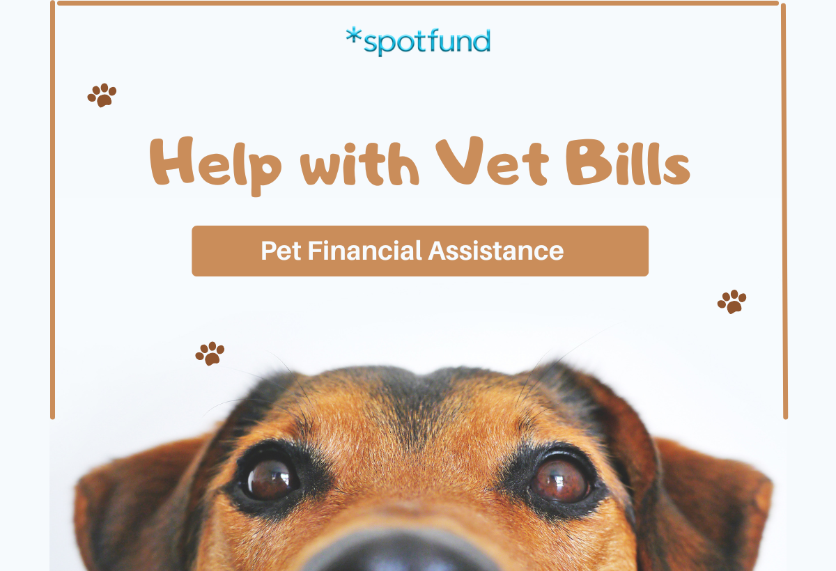 Help with Vet Bills: Your Guide to Pet Financial Assistance