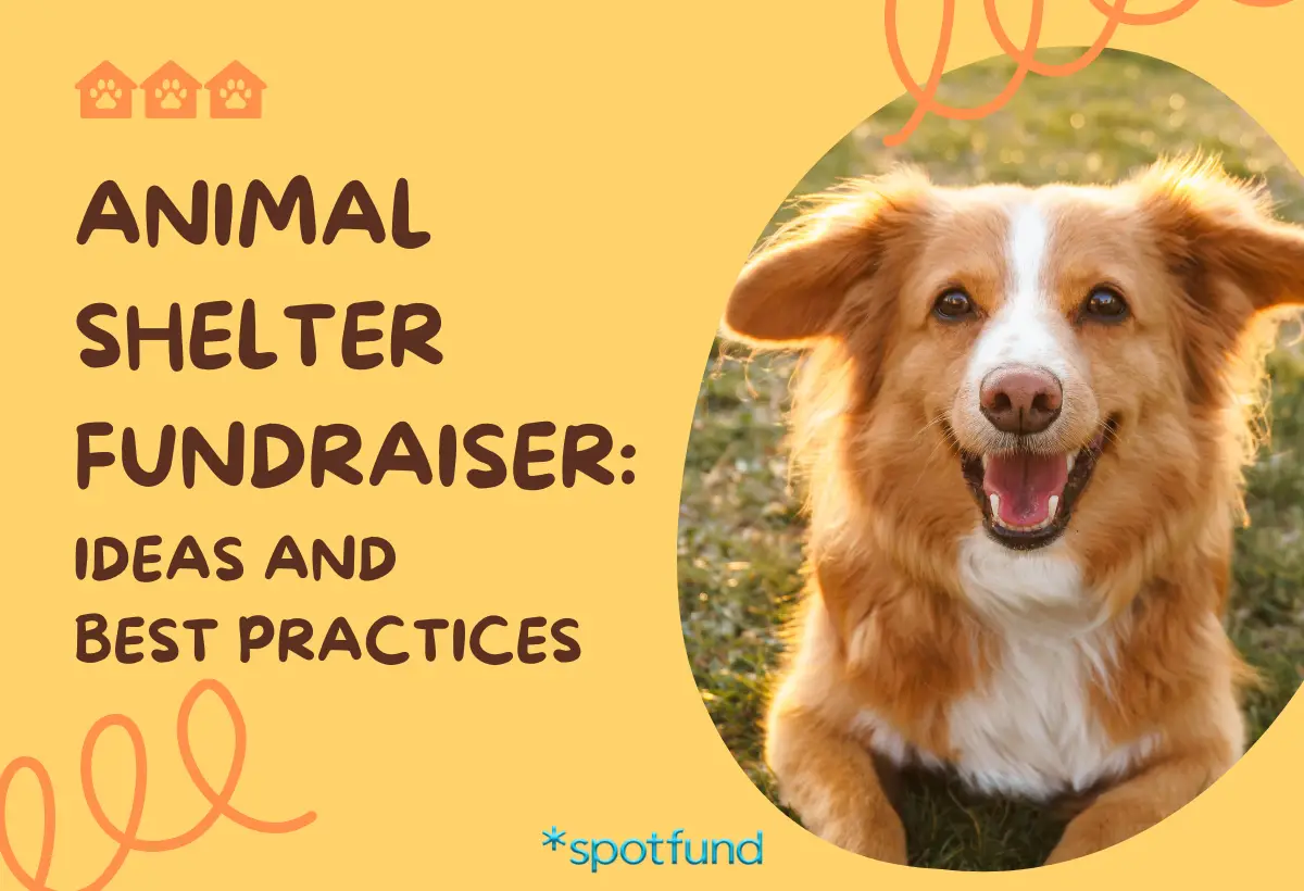 Animal Shelter Fundraiser: 5 Ideas & 12 Tips | *spotfund