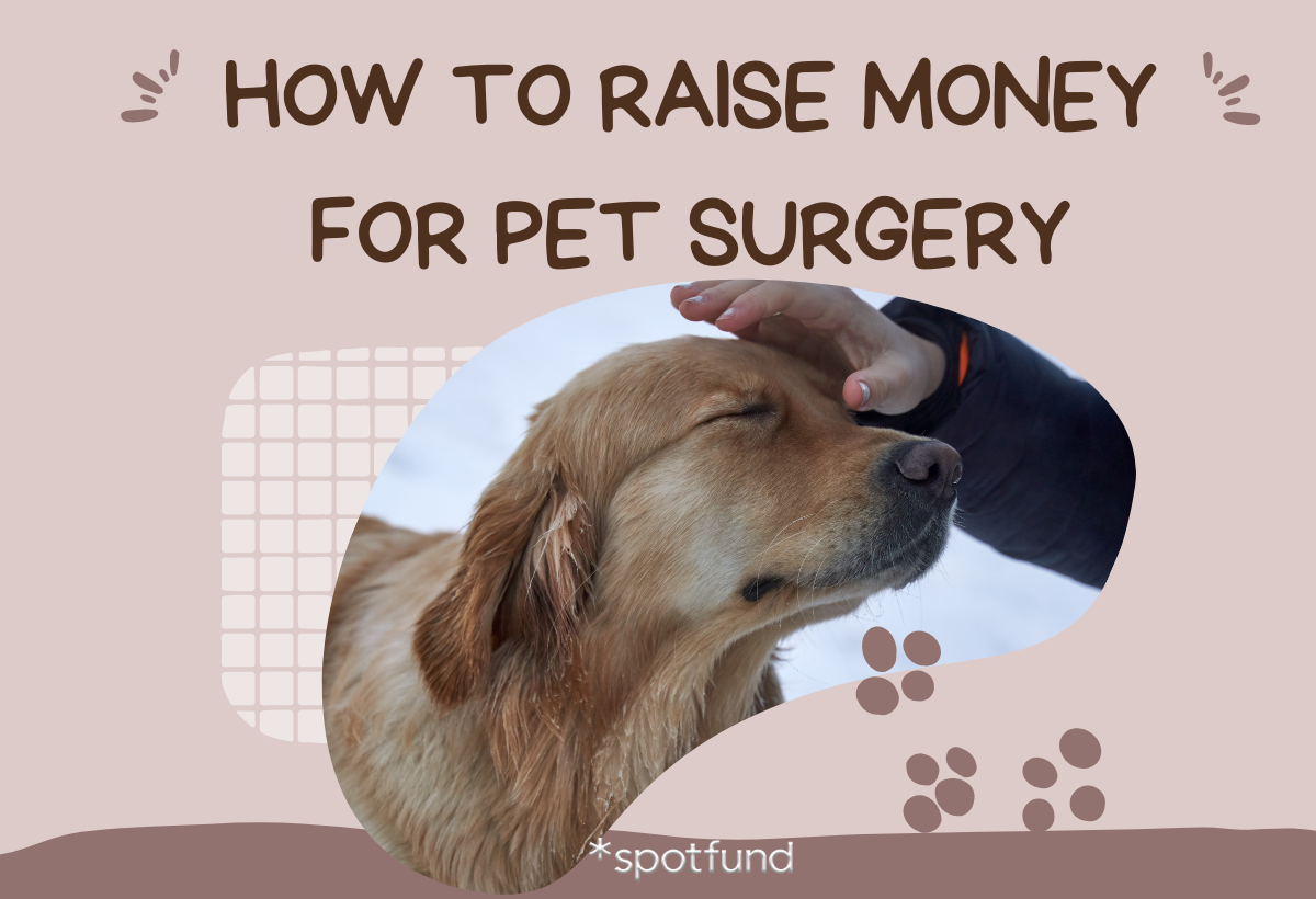 How to Raise Money for Pet Surgery | *spotfund Blog
