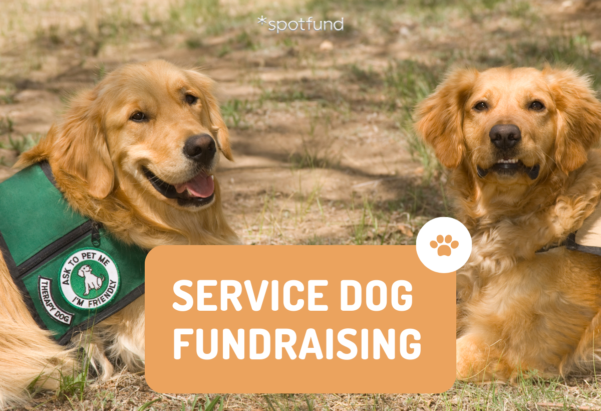 A Comprehensive Guide to Service Dog Fundraising