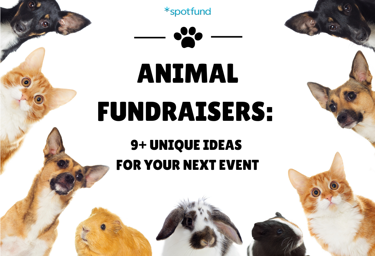 9+ Unique Ideas for Successful Animal Fundraisers | *spotfund