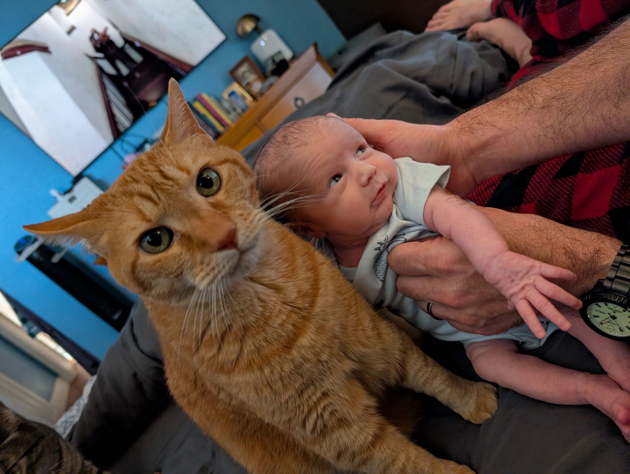 *HelpBabyRamonasFight - Fundraiser by Danielle Lewis on *spotfund