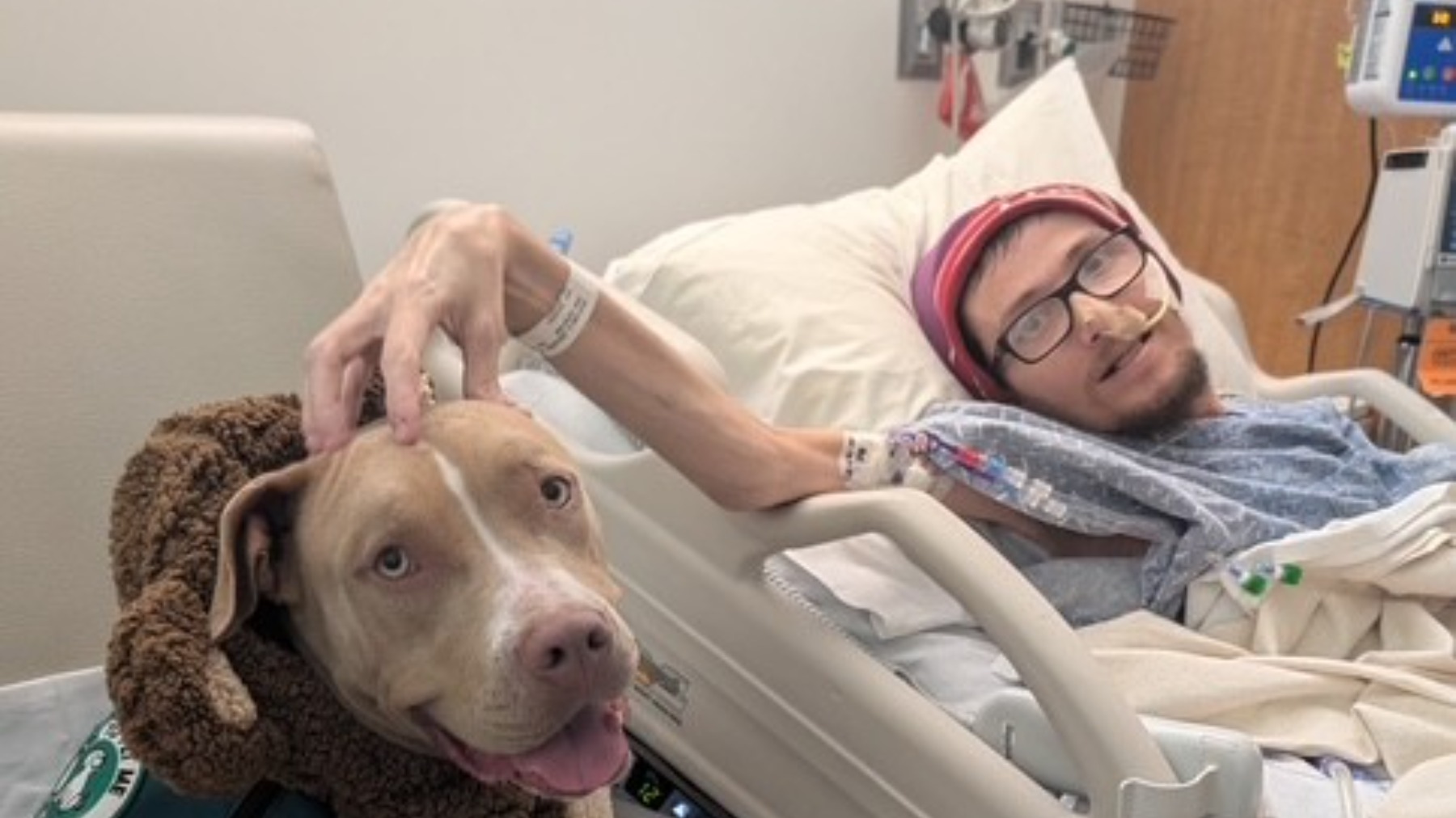*NeedASpecialBedToSaveHisLife - Fundraiser by Greg Keating on *spotfund
