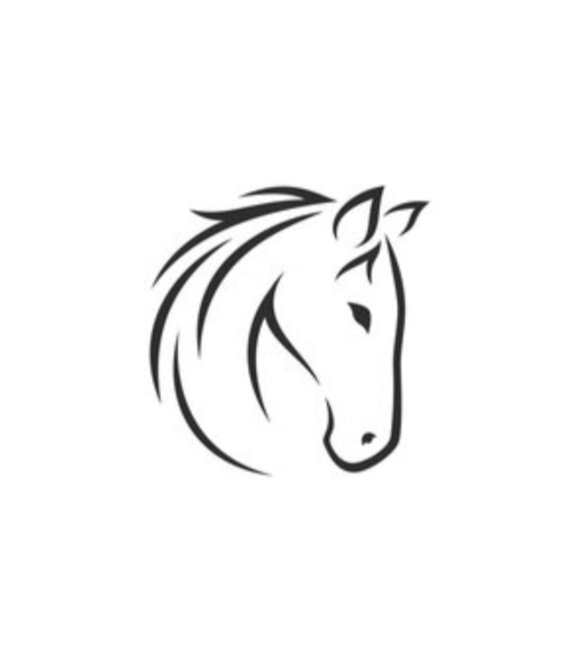 *HelpMeGetAHorse - Fundraiser by Catherine Schroeder on *spotfund