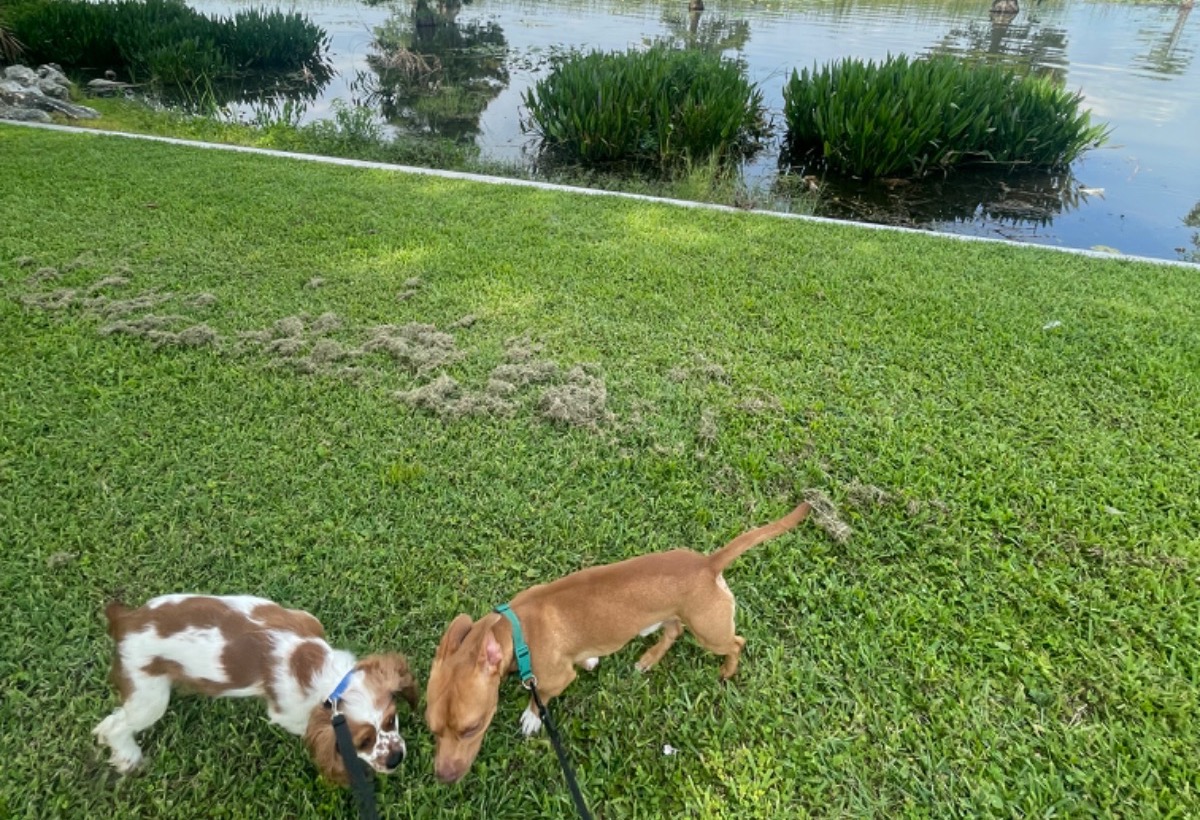 *YoungCoupleSleepingInCar - Fundraiser by Craig Brown on *spotfund