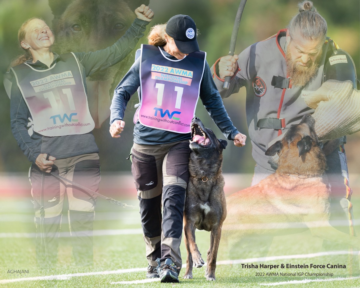 *Help Send Trisha To 2023 FMBB - Fundraiser by Gayle Griffin on *spotfund