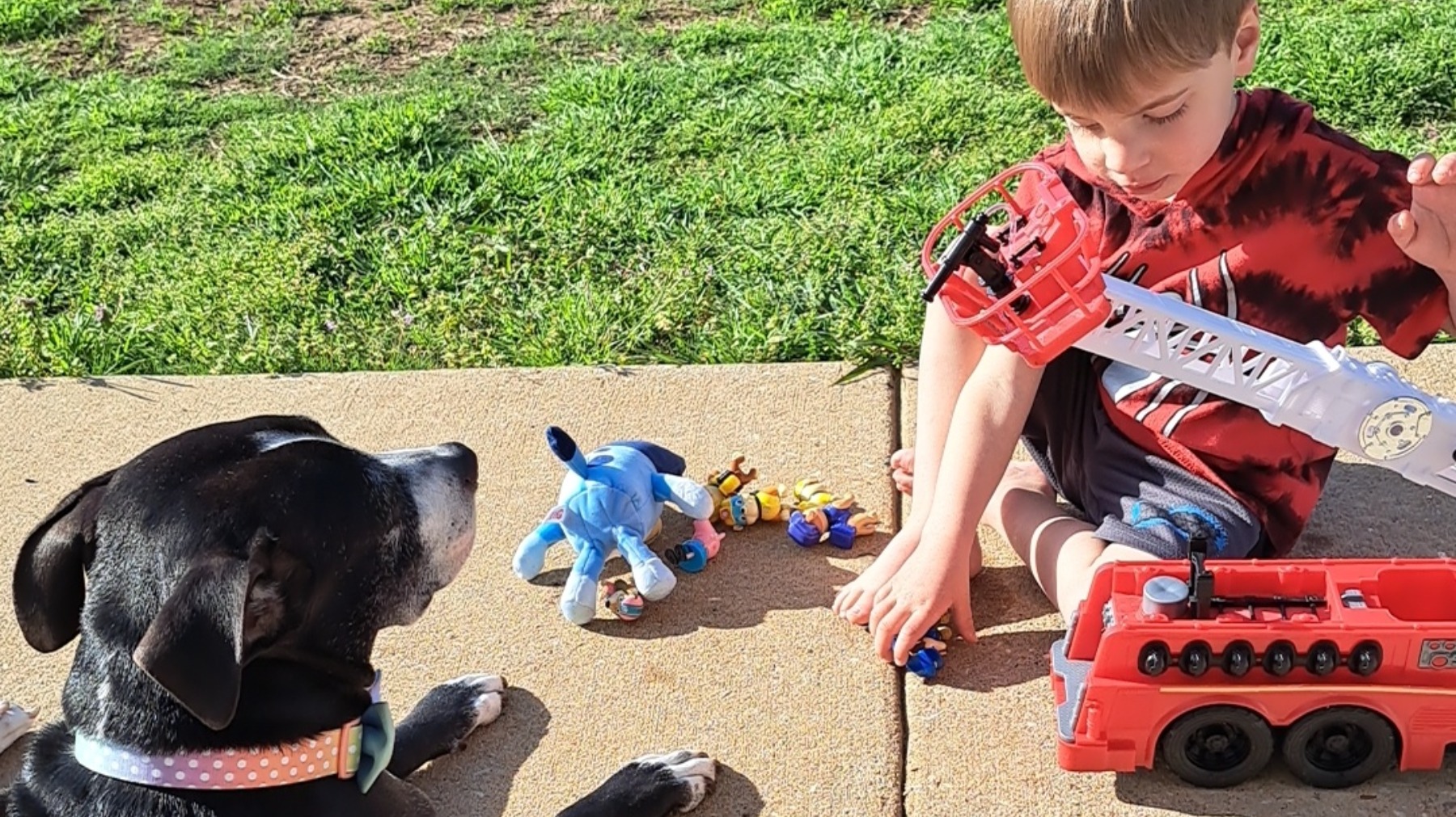 *MommaInNeedX2 - Fundraiser by Marissa Lamb on *spotfund