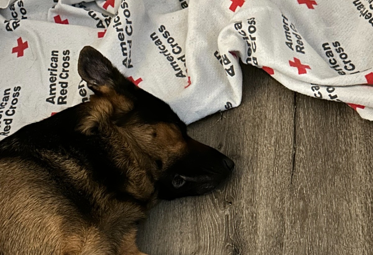 *NoRoomAtTheFloodedInn - Fundraiser by Jillian Jennett on *spotfund