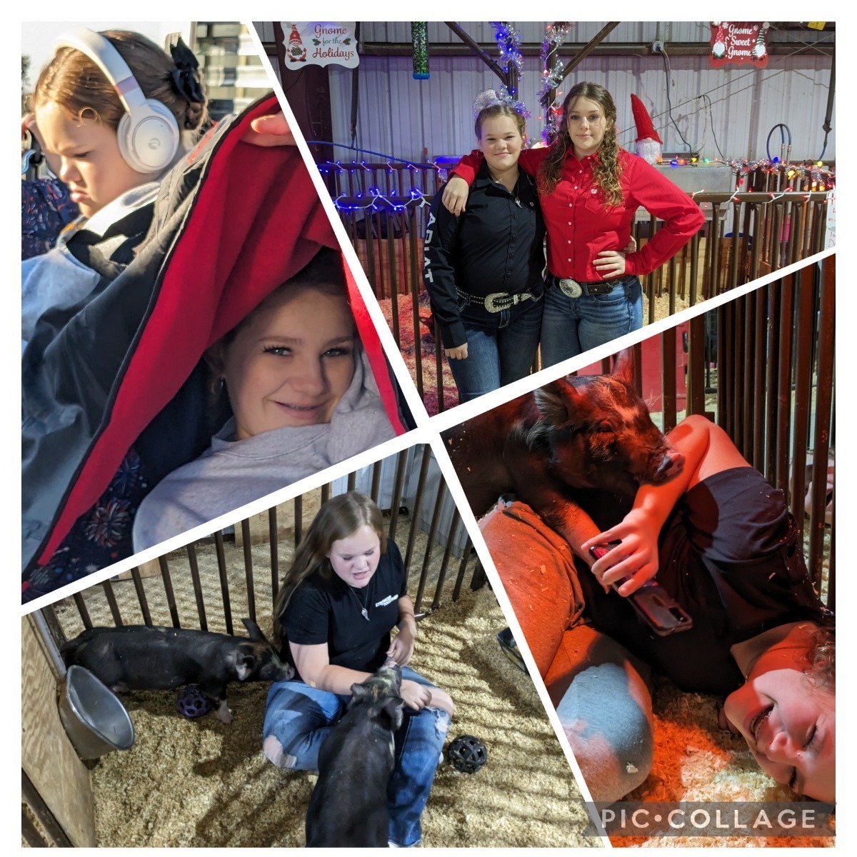 *JacksonGirlsFFA - Fundraiser by Brenna Jackson on *spotfund