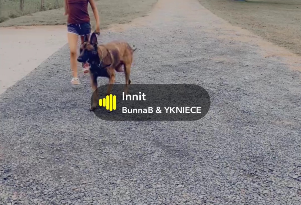 *Summer - Fundraiser by Stephanie Fisher on *spotfund