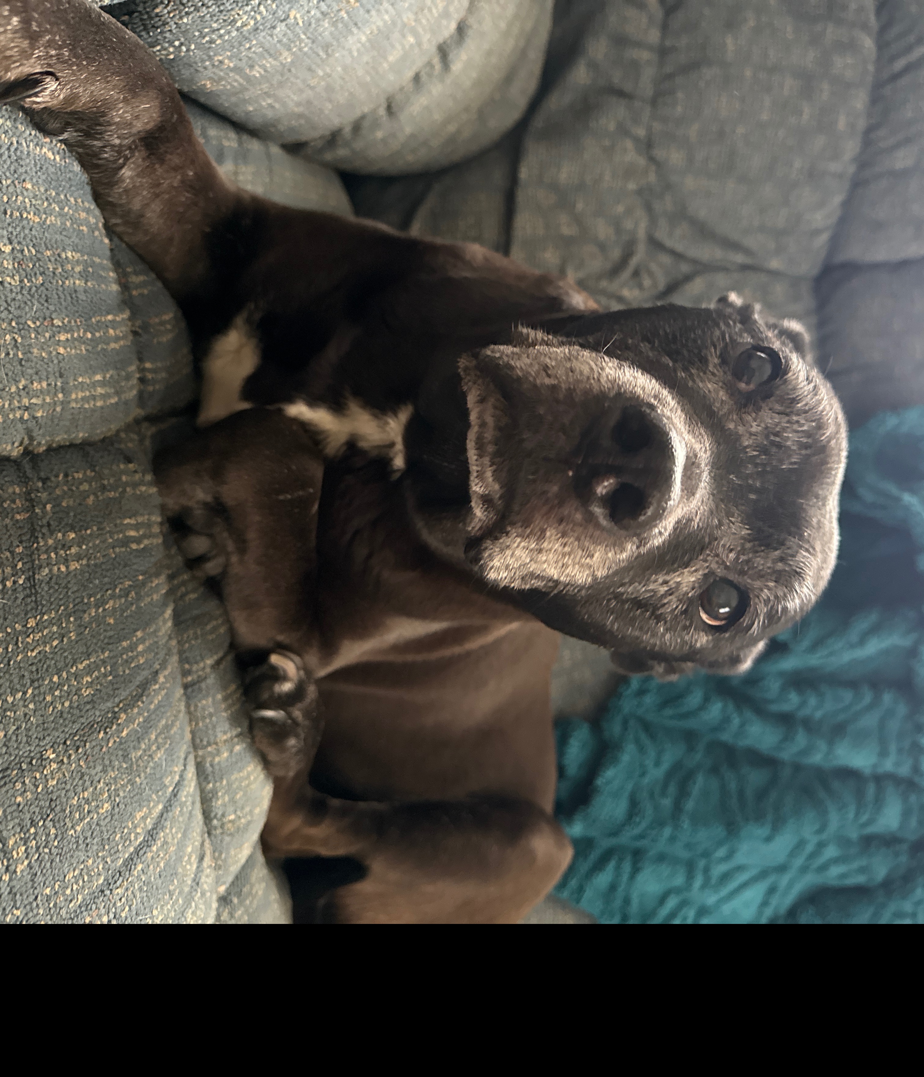 *IJustNeedAssistance - Fundraiser by Nick Shute on *spotfund