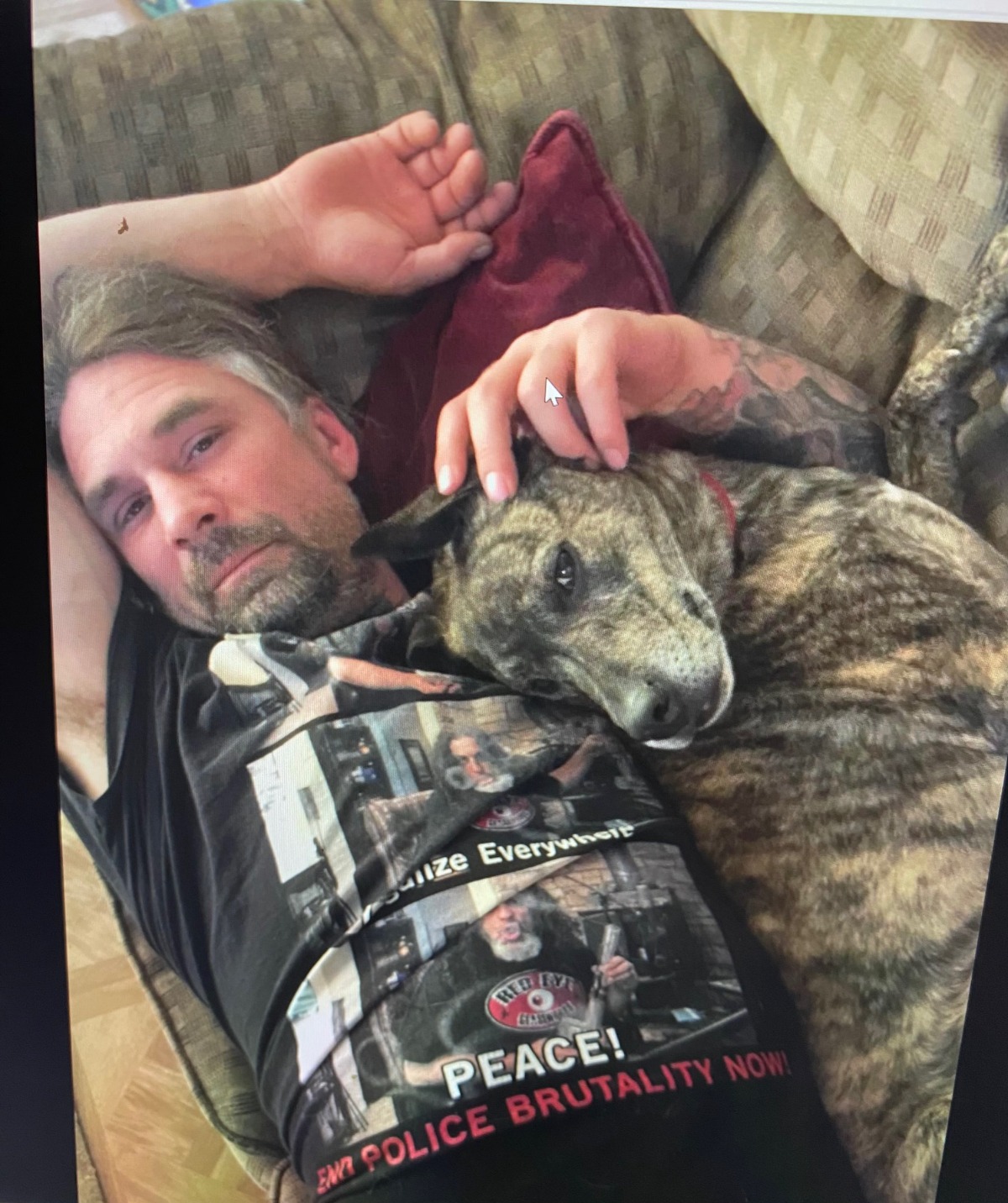 *CelebrationOfDINOSLife - Fundraiser by Colleen Zimmerman on *spotfund