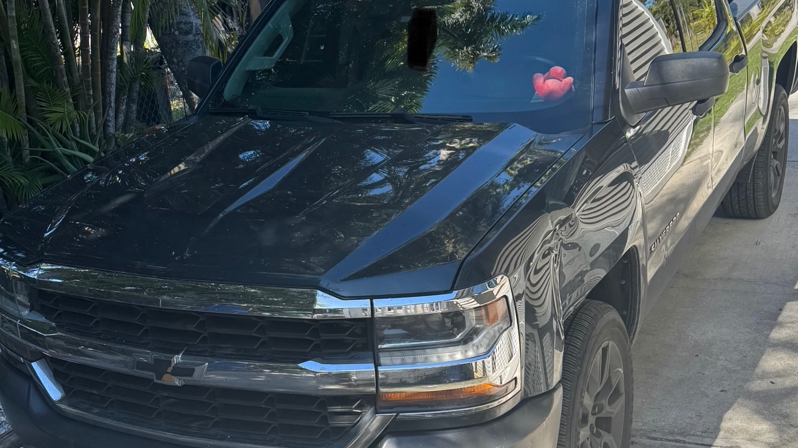 *NeedingACar - Fundraiser by Elizabeth Cruz Krumpe on *spotfund
