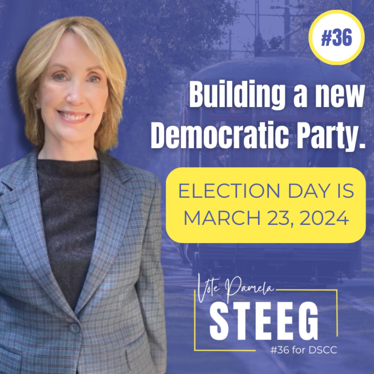 *PamelaSteegForDSCC - Fundraiser by Pamela Steeg on *spotfund