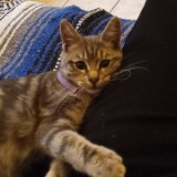 *EvictionPrevention - Fundraiser by Fatima Ndiaye on *spotfund